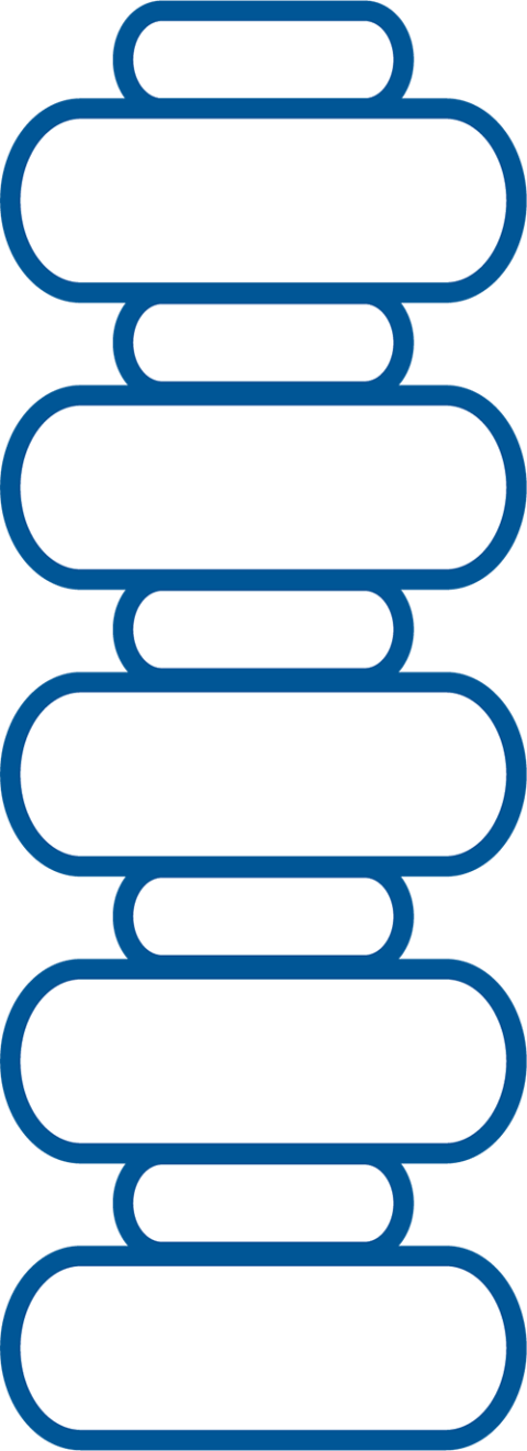 2024 ANJC Fall Intensive: MRI Spine Interpretation | Association of New ...